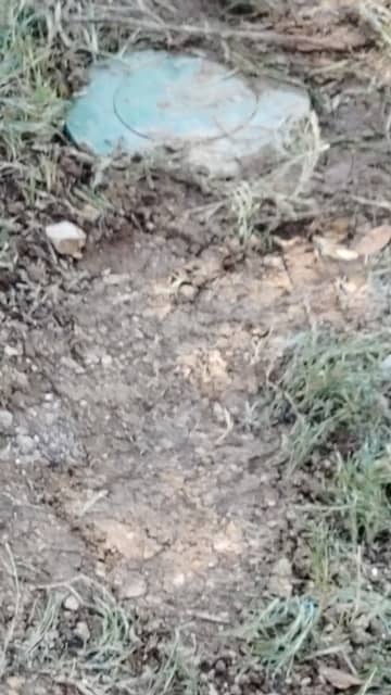 Why Does My Lawn Have Standing Water? What Can I Do?