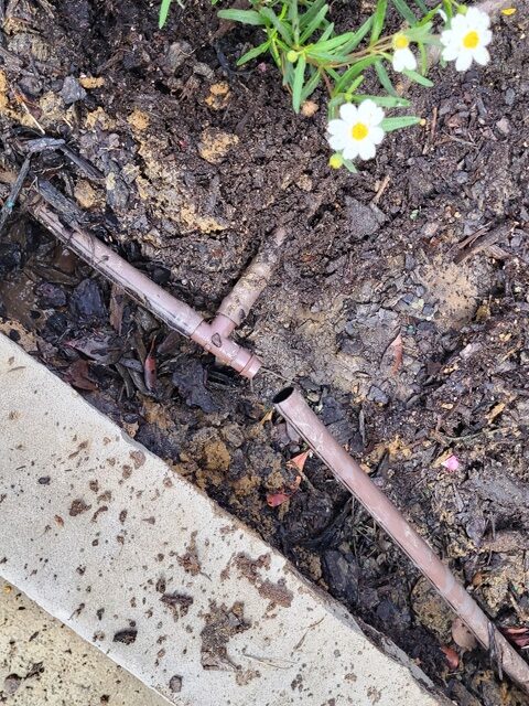 Why Do My Drip Irrigation Lines Keep Popping Off?