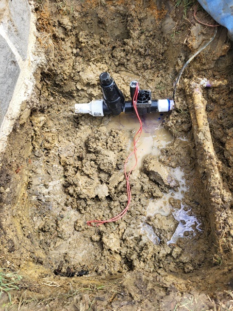 Why Do My Drip Irrigation Lines Keep Popping Off?