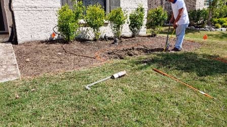 How to Install a Landscaping Plant | Proper Plant Installation