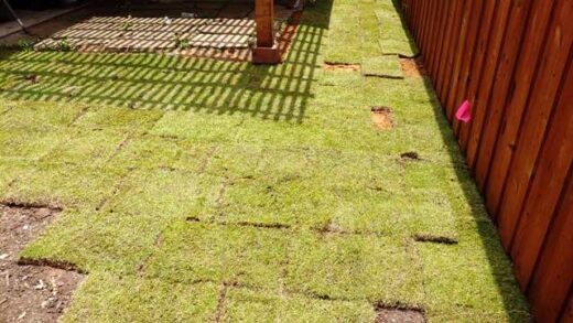 How to Properly Water New Sod | How to Irrigate New Sod