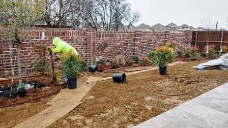 How to Install a Landscaping Plant | Proper Plant Installation