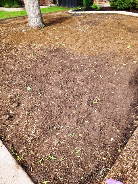 How to Prepare Soil for Sod Replacement | Soil Prep for New Sod