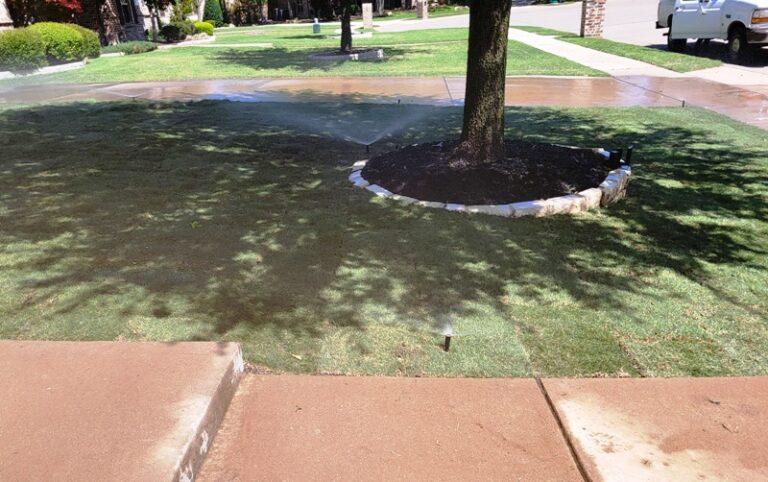 7 Reasons Why You Should Core Aerate Your Yard in North Dallas - Sol ...